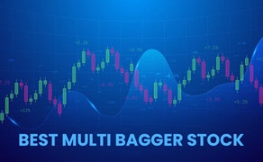 5 Multi-Bagger Stocks To Have In Your Portfolio