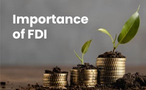 What are the Importance of FDI