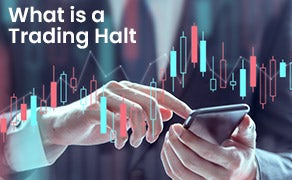 What is a Trading Halt