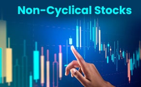 What Are Non Cyclic Stocks