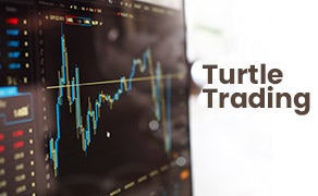 Turtle Trading How Slow and Steady Wins the Trading Game