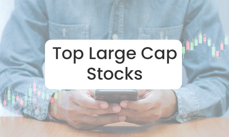 Top Performing Large-Cap Companies to Watch in 2024