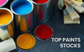 Best Paint Stocks To Invest In India In 2024