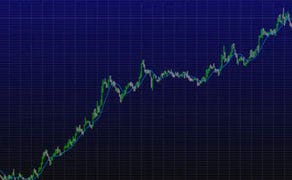 A Beginner's Guide To Bullish Options Strategies