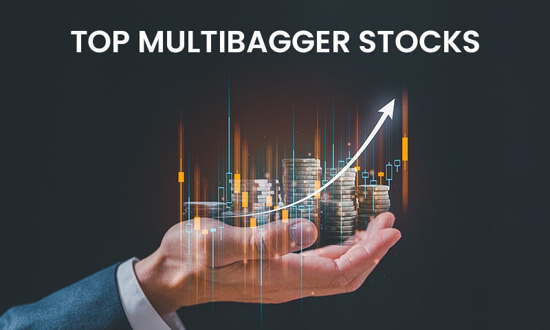 Top 3 Multibagger Stocks You Can Invest in for the Next 5 Years